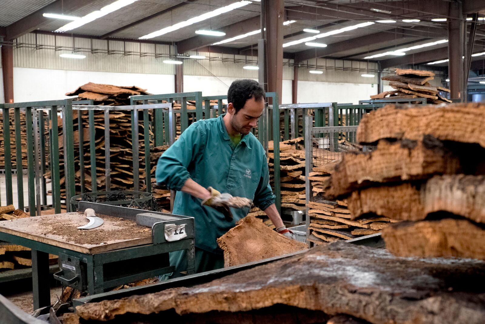 Cork gains new life as environmental awareness grows - ELM Magazine