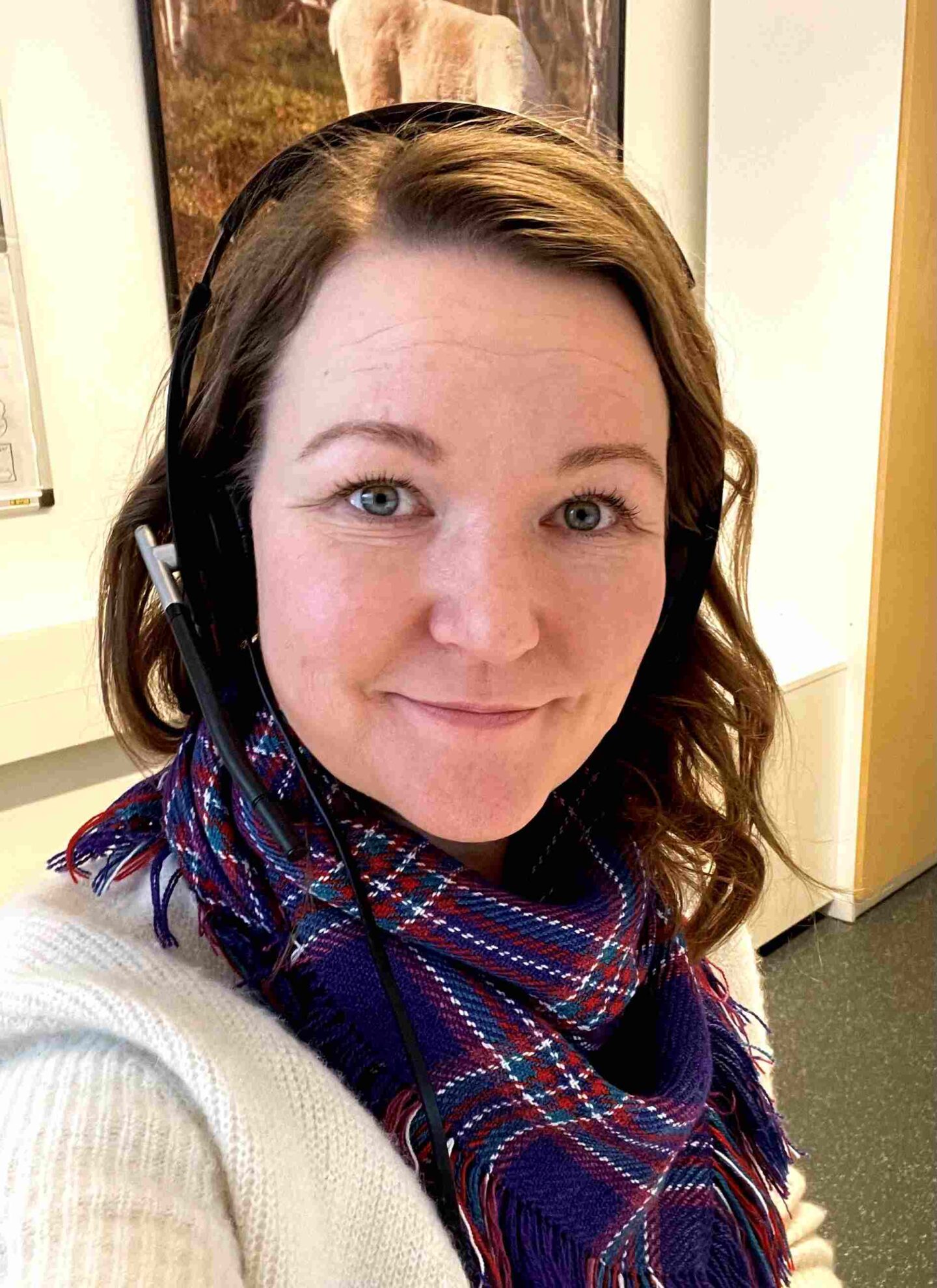 Online learning makes indigenous Sámi languages more accessible - ELM ...